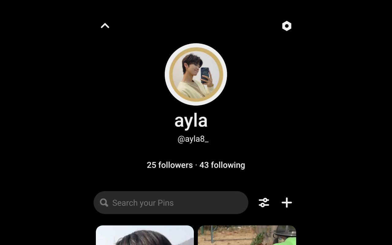 pinterest inspired carrd